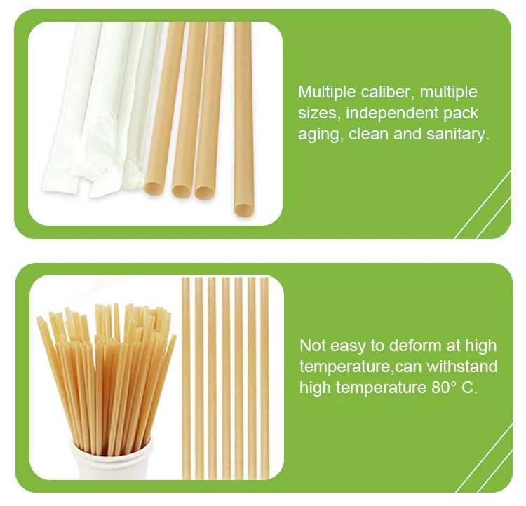 Eco-friendly Biodegradable Sugarcane Straw - Perfect for Camping