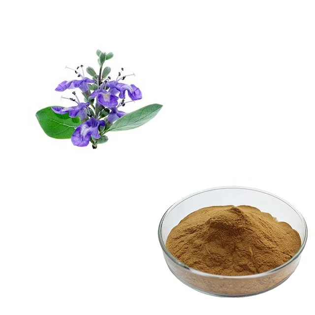 Hongda Wholesale Vitex Trifolia Chaste Tree Berry Extract Vitex Extract ...