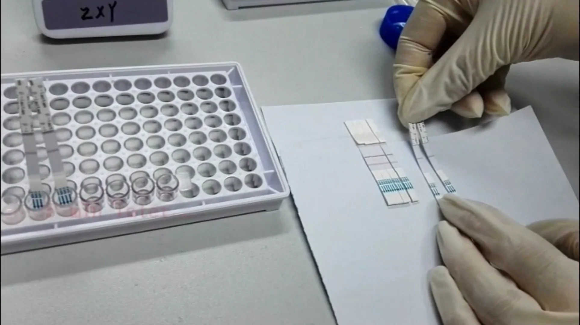 Beta Lactams/tetracycline Test Strips For Milk Safety Test Kit 2 In1(48 ...