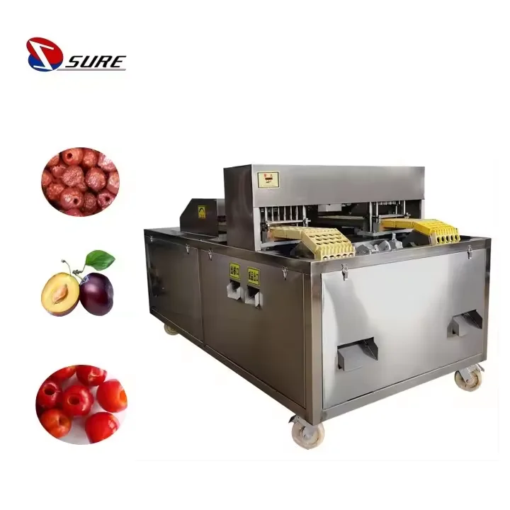 Easy Operation Olive Pitting & Stuffing Machine Peach Pitting Machine ...