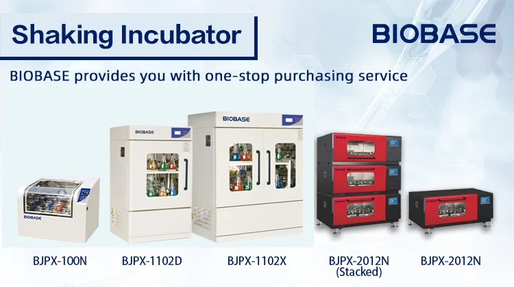 Biobase China Laboratory Microbiology Forced Convection Stacked Large ...