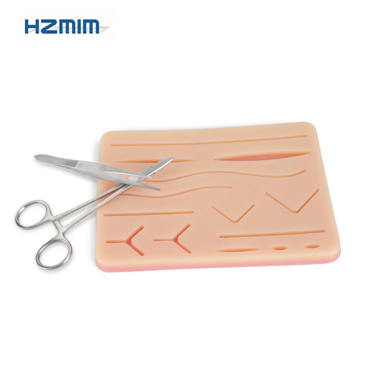 Medical Students' Stainless Steel Dissection Kit Anatomy Surgery Suture ...