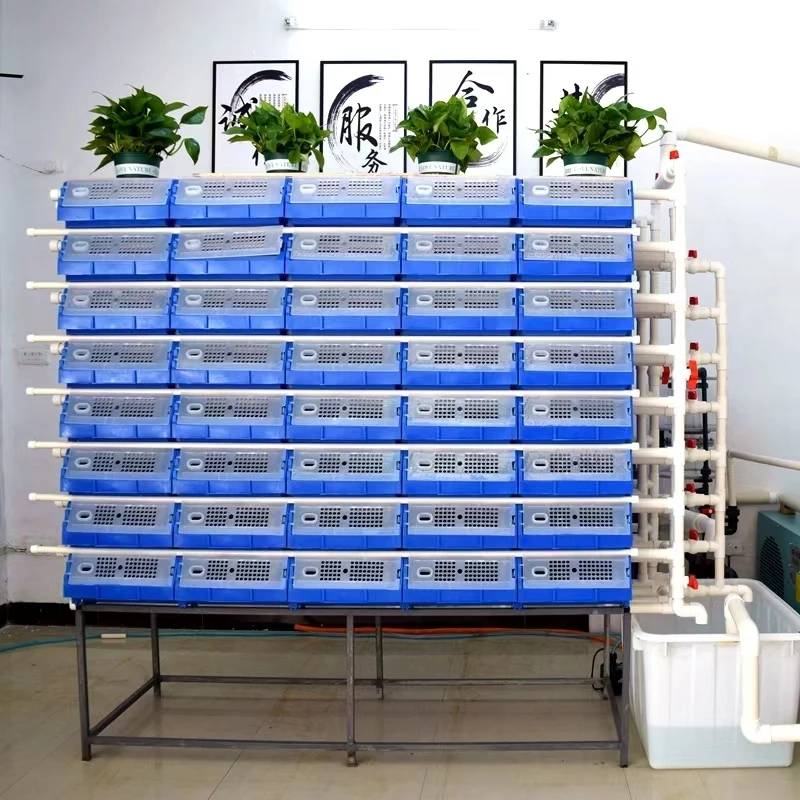 Mud Crab Boxes for Vertical Crab Farming - Durable PE Tanks for RAS ...