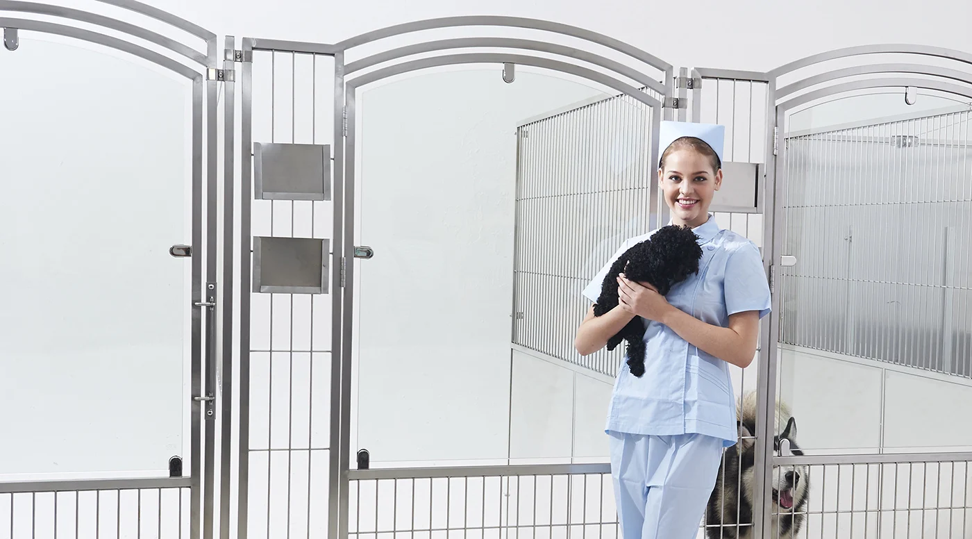 Customized Professional Walk-in Kennel System for Dogs