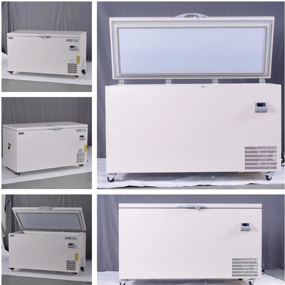 Minus 60 Degrees 300 Liter Laboratory Deep Freezer -86C