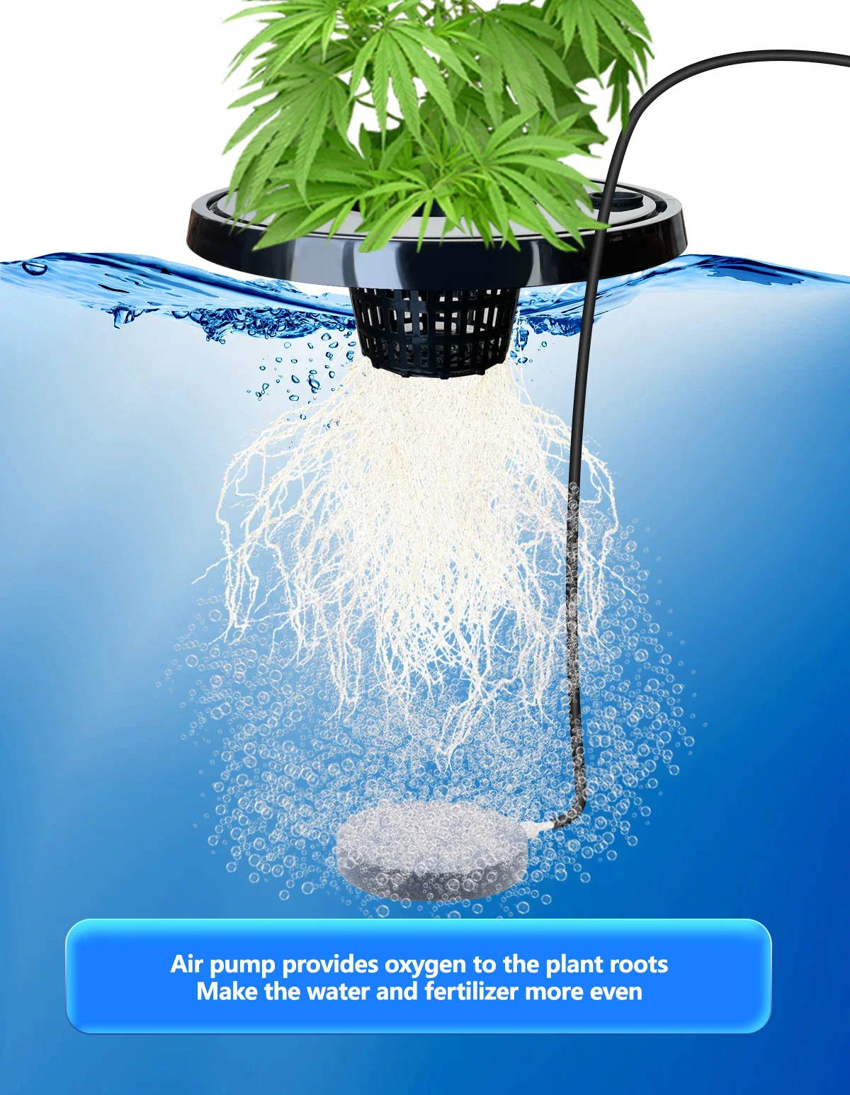 Deep Water Culture 5 Gallon 4 6 8 10 12 Site Bubble Flow Buckets Dwc ...