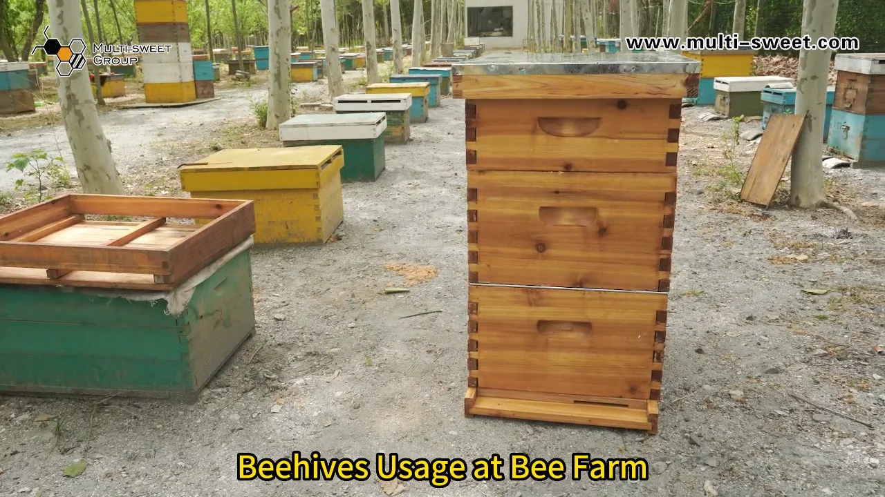 Wooden Beehive Box 3 Layers Complete Langstroth 10 Frame Bee Hive For ...