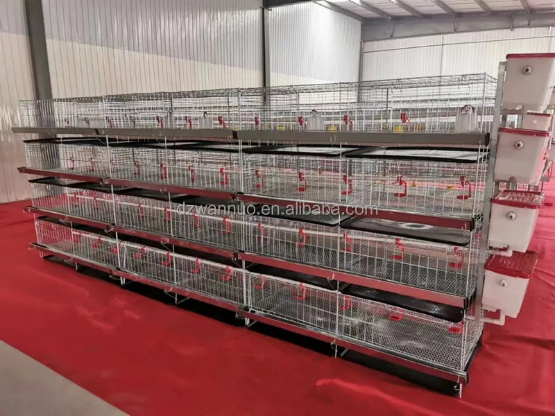 Poultry Farm Equipment Automatic Chicken Broiler Chicks Breeding Cage ...