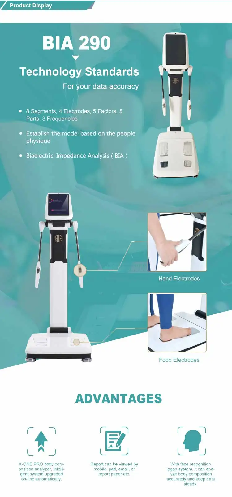 Body Bia 290 Measuring Instrument Body Composition Detection Posture ...