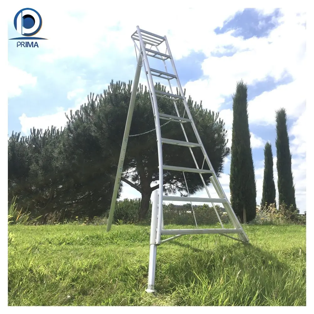Prima Aluminum Scaffold Ladder Climb Stop Aluminum Alloy Long Board ...