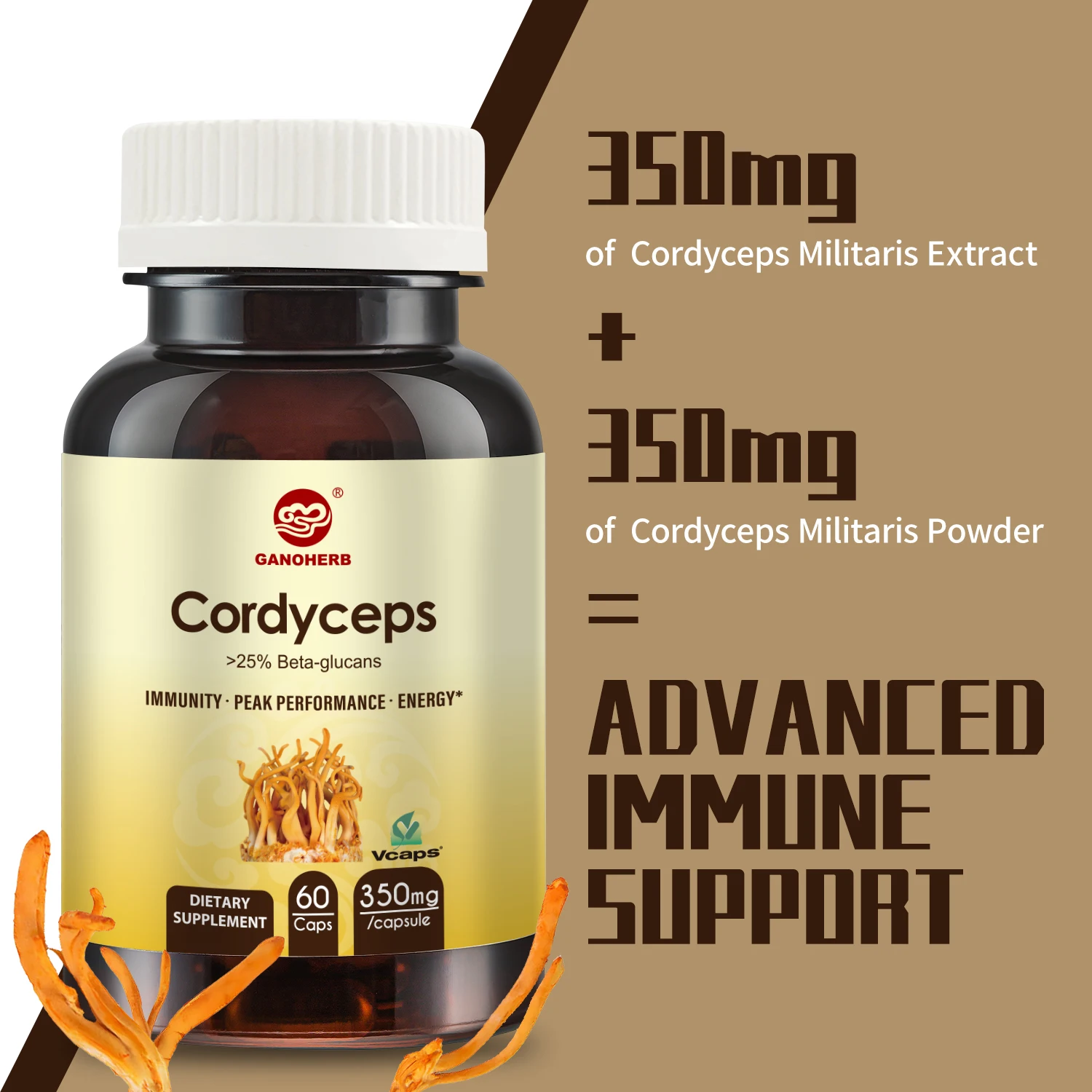 GANOHERB GMP Manufacturer Mushroom Supplements Cordyceps Militaris ...