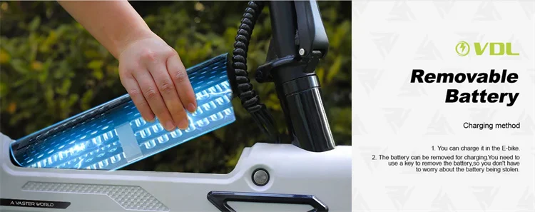 AVDL A02 Electric Folding Bike - 250W Motor, 14inch Wheels