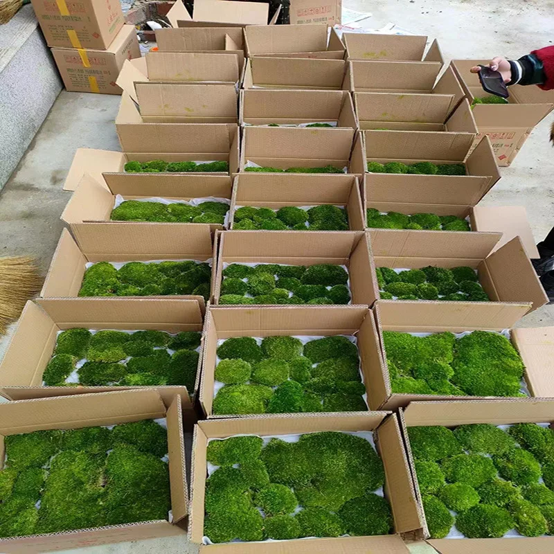 Factory Wholesale Real Moss Panel Preserved Moss Real Moss for ...