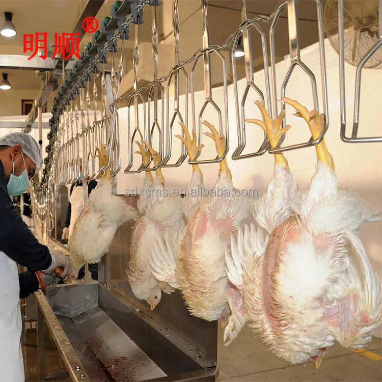 Stainless Steel 304 Automatic Chicken Slaughter Machine Chicken ...