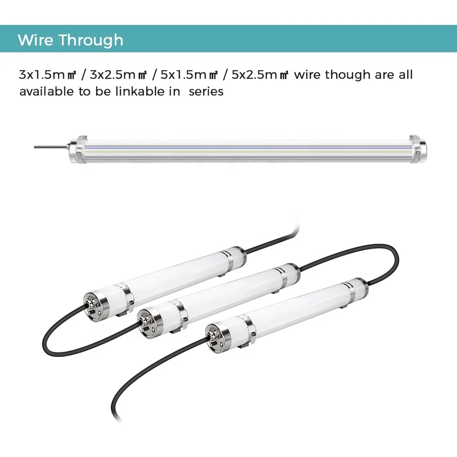IP69K Tri Proof LED Lighting - Durable & Efficient Solutions
