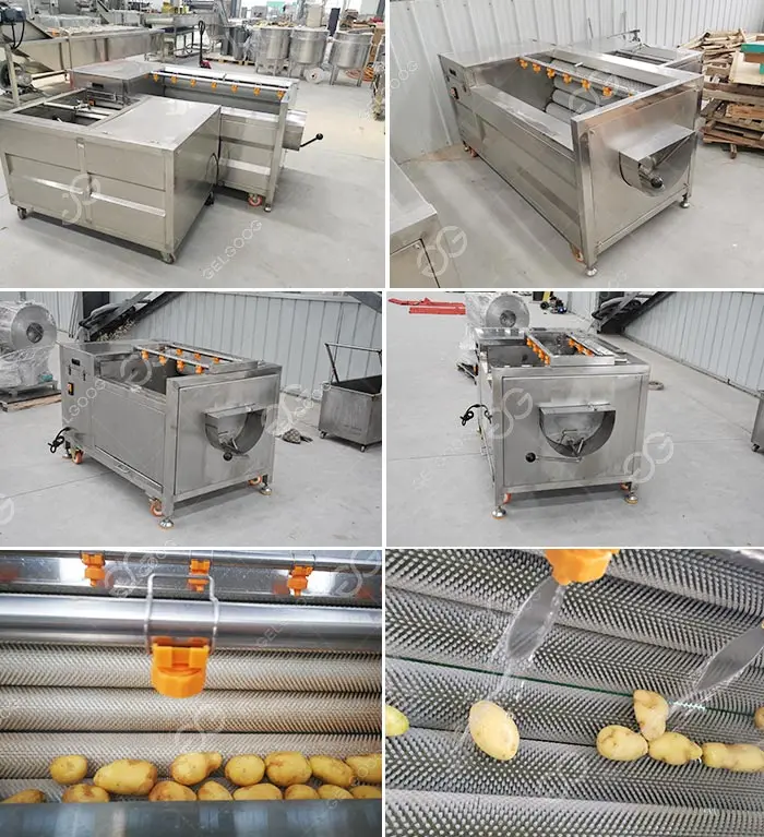 Shell Washing Machine / Seashell Cleaning Machine / Fanshell Washer And ...