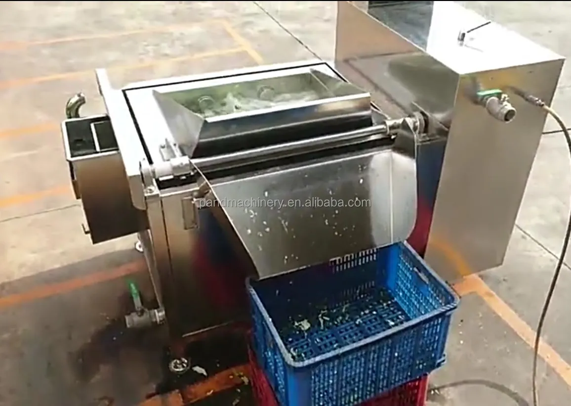 Industrial Automatic Fruit Vegetable Leaf Washing Machine