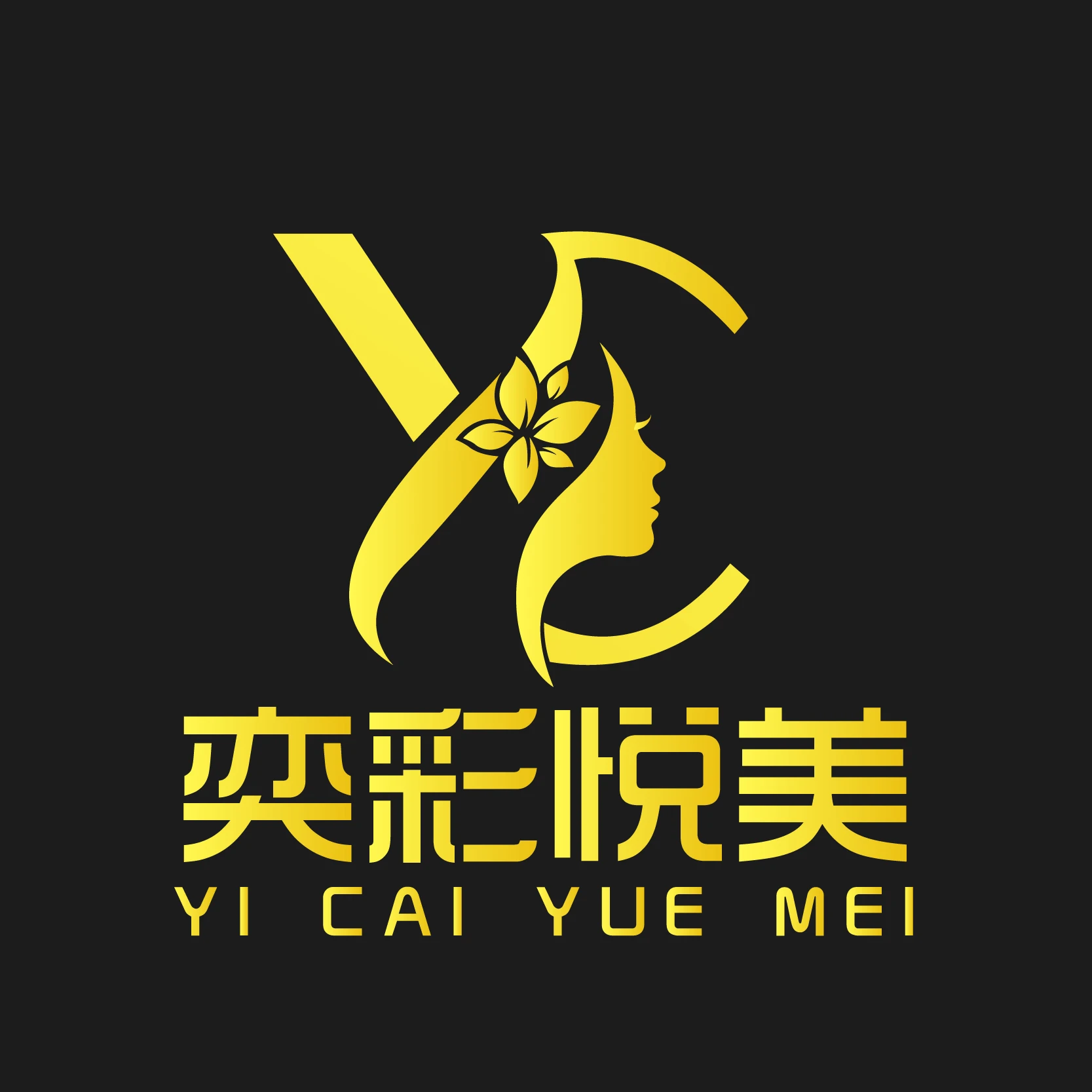 Company Overview - Shenzhen Yicai Yuemei Technology Co., Ltd.