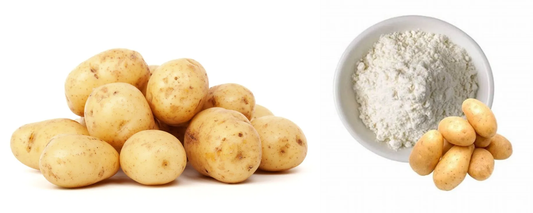 Supply Natural Potato Protein Bulk Potato Protein Powder - Buy Potato ...