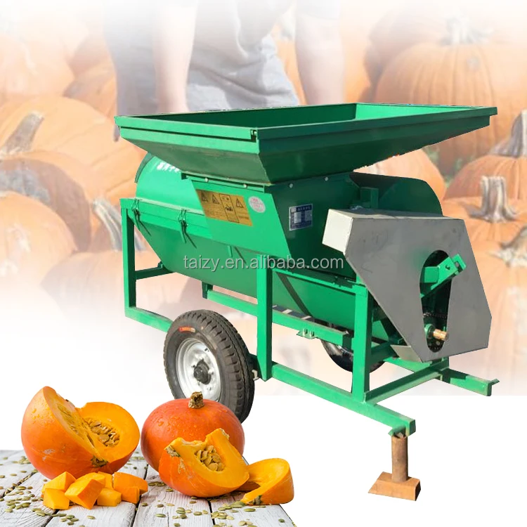 High Efficiency Pumpkin & Watermelon Seeds Processing