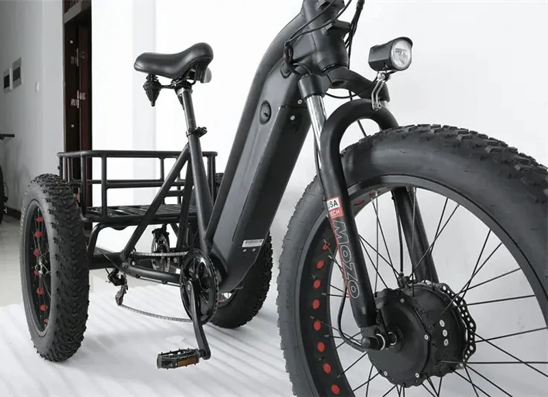 OEM Custom Electric Tricycles for Sale - Adult Trikes