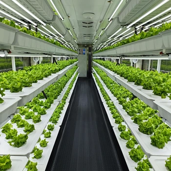 Hydroponic Shipping Container Farms Box Modular Farm Solution 40hq ...