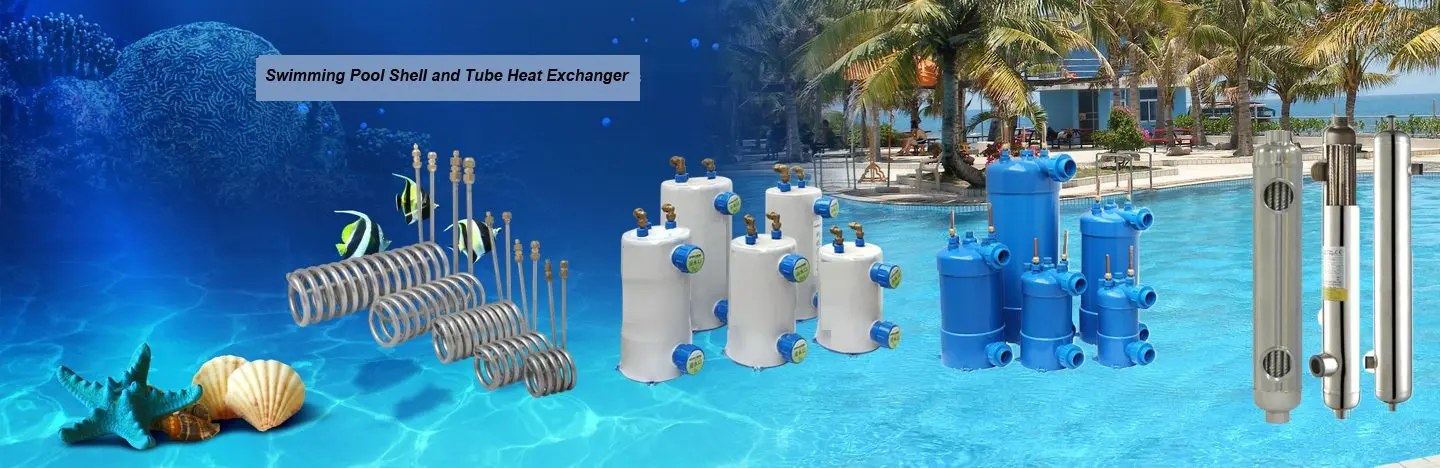 Double System Titanium Steam Heat Exchanger for Pool Heating
