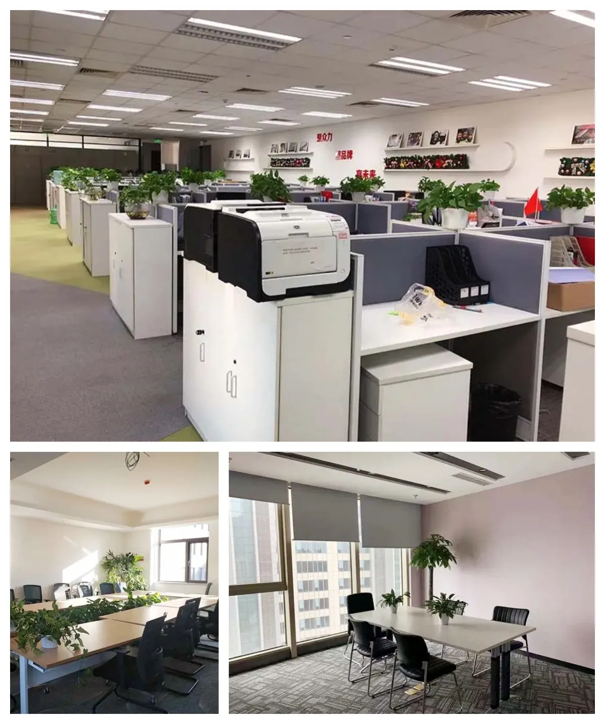 Superior 8 in 1 Sublimation Heat Press Machine for T-Shirts, Mugs ...