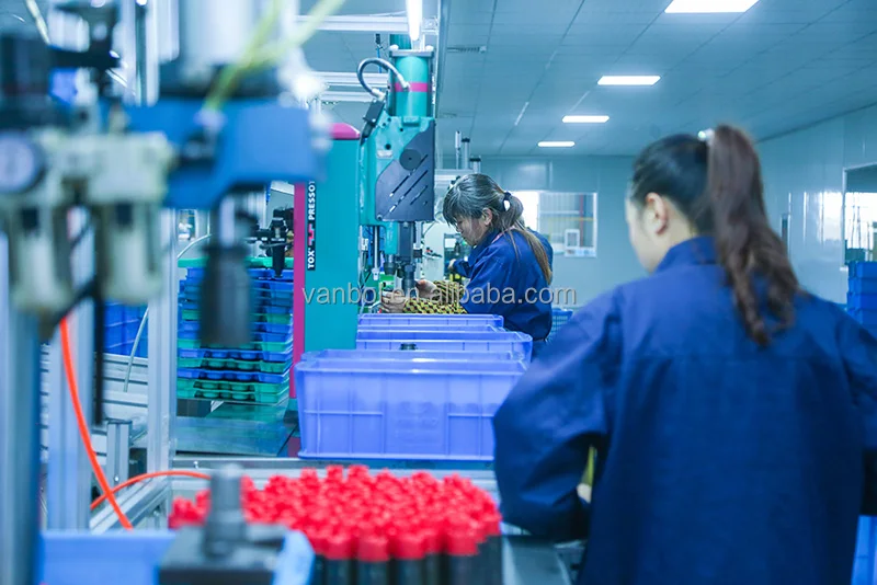 Ali Baba EP 204 - Reliable Fuel Pump for Audi & Ferrari