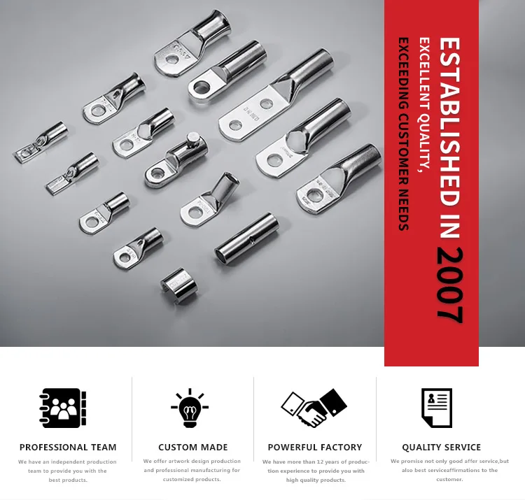 Double Crimp Terminal 10mm Cable Lug - Reliable Connectors