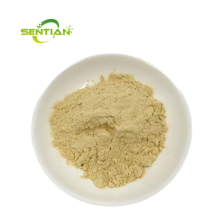 Glucose Oxidase Powder - Food Enzyme with 9001-37-0 CAS