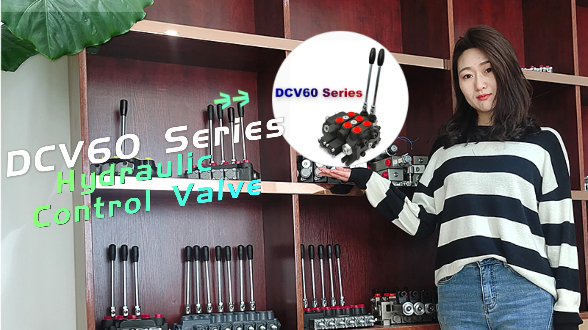 Hy-waloil Dcv60 Multiple Directional Control Valve Excavators Tractors ...
