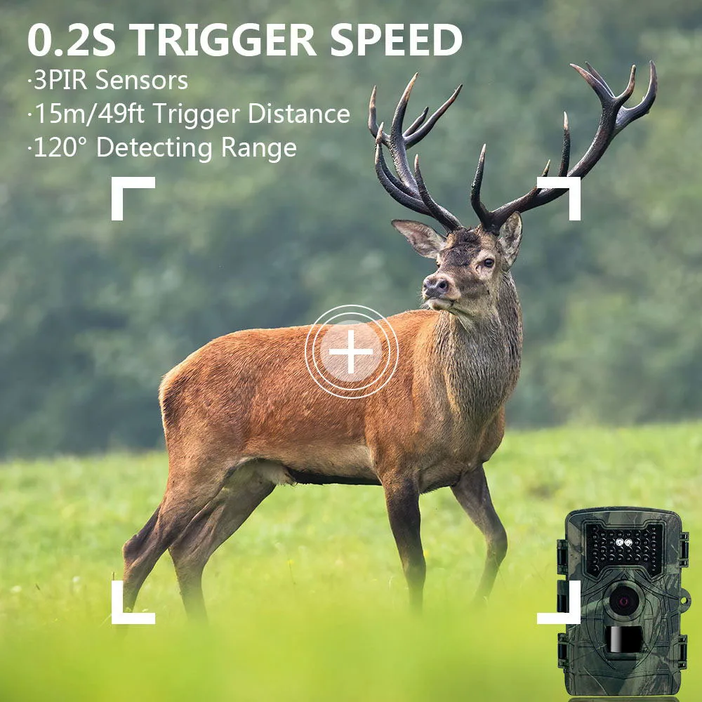 HunterCam PR2000 time lapse trail camera Wildkamera Hunting Trail ...