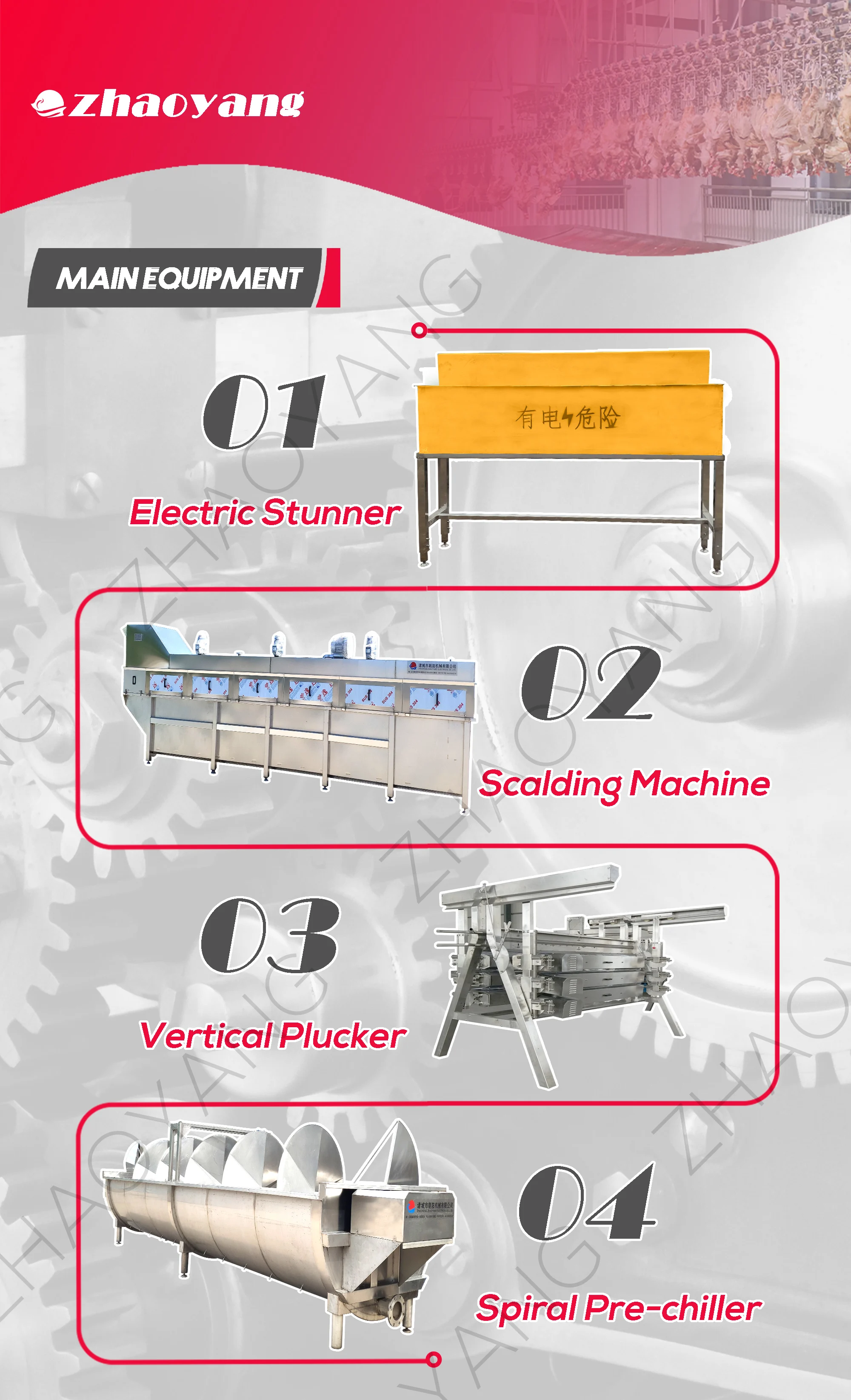 Small Scale Poultry Chicken Processing Slaughter House Slaughtering ...