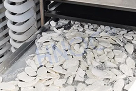 Industrial Lyophilization Machine - Efficient Freeze Drying