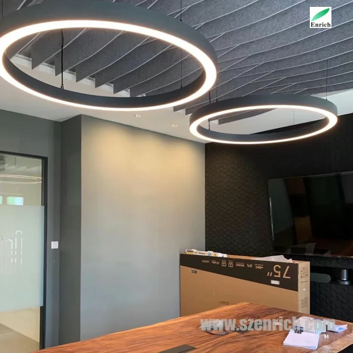 Enrich Round Circle Led Pendant Light Curved Led Linear Luminaire For ...