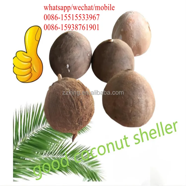 Coconut Husk Sheller & Scrubber Making Machine, New, Oem | Wholesale