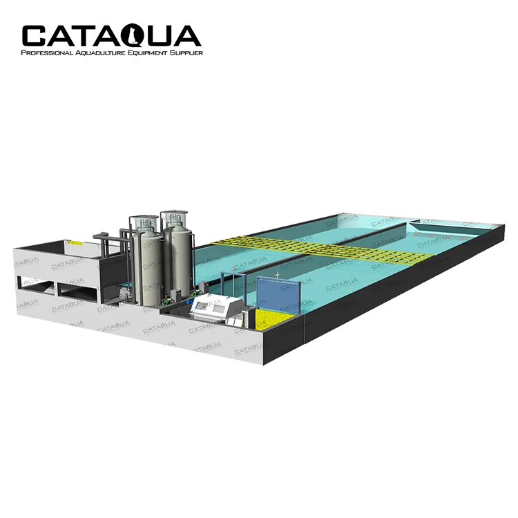 CATAQUA RACEWAY RAS System - Efficient Aqua Fish Farming