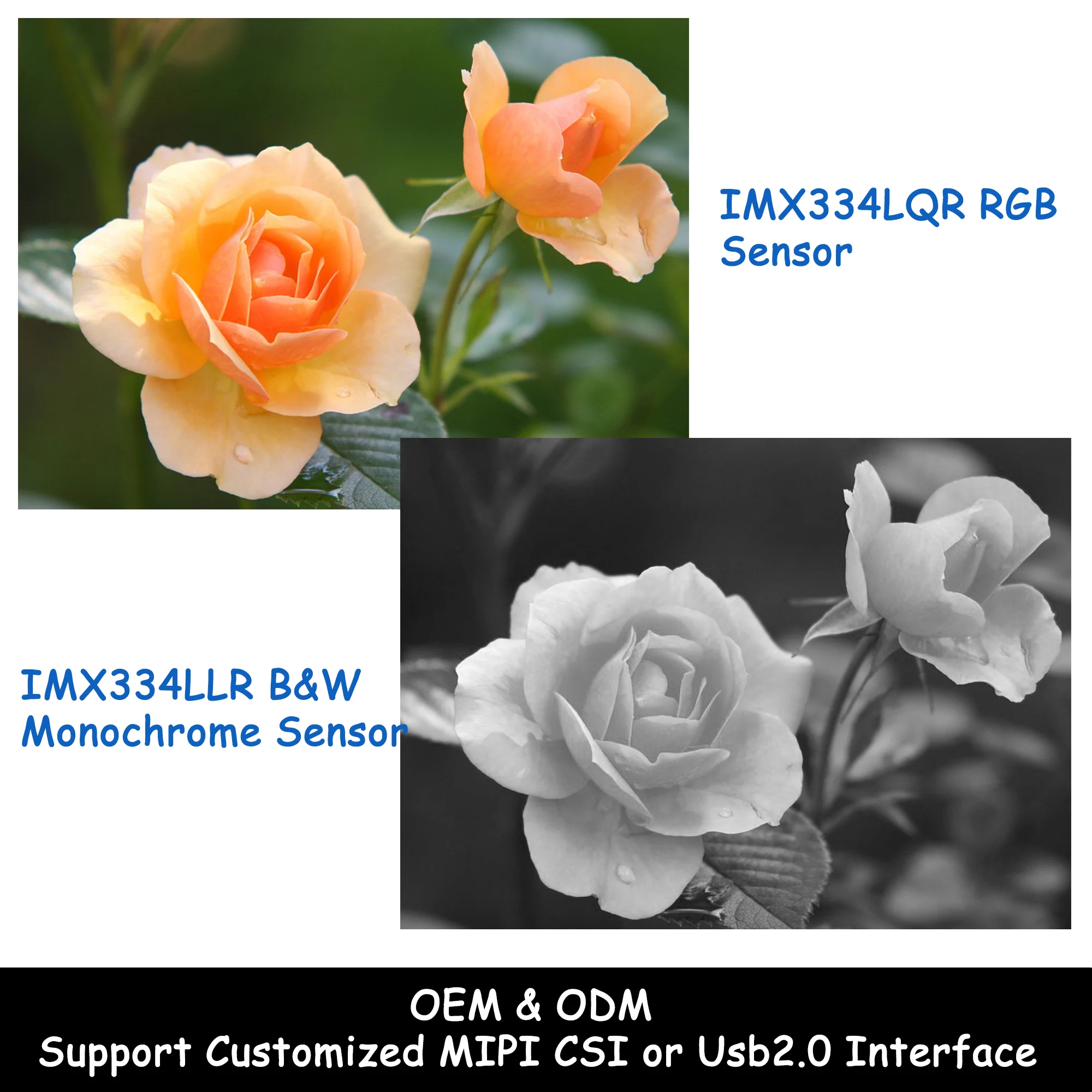 IMX334 4K Monochrome CMOS Image Sensor Module - 120fps Industrial ...