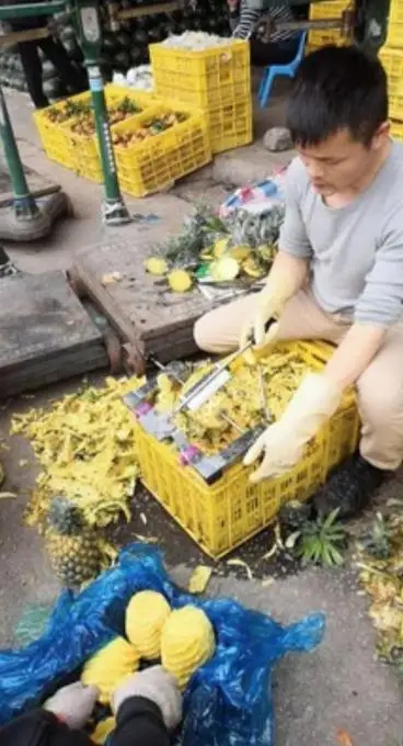Fruit Jack - Efficient Jackfruit Processing Machine