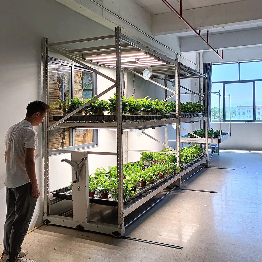 Custom Size Indoor Grow System Platforms Vertical Mobile Hydroponic ...