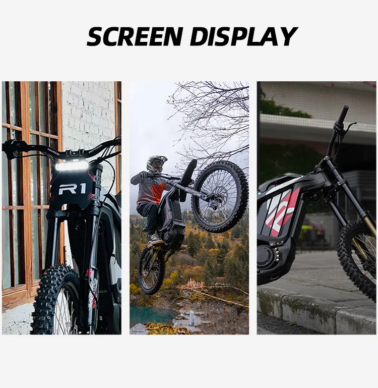 The Chun Sunny Light Bee X 6000W Electric Fat Tire Bike - 60V 6-Speed ...
