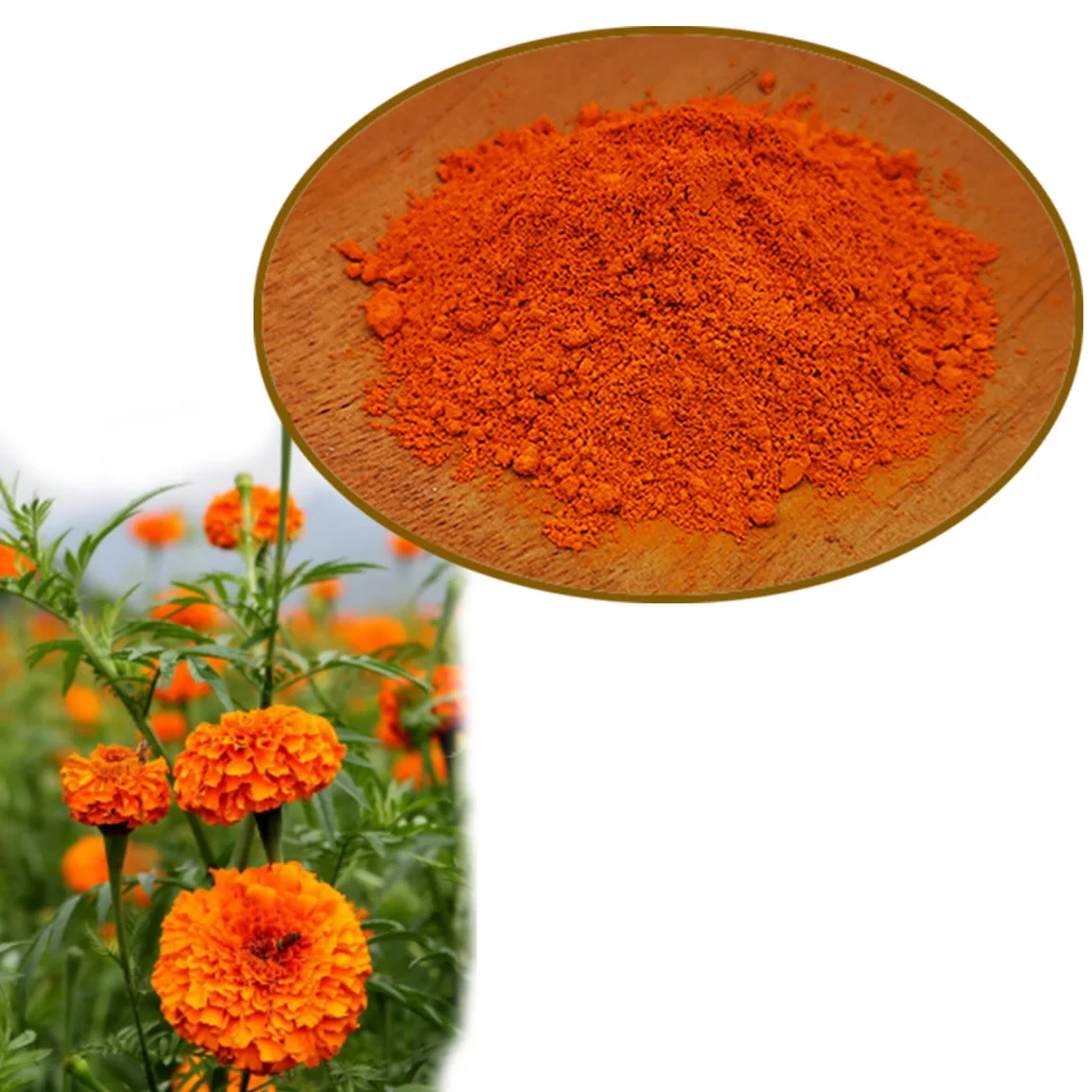 Tagetes Erecta Flower Marigold Extract Lutein - Buy Lutein Powder,Super ...