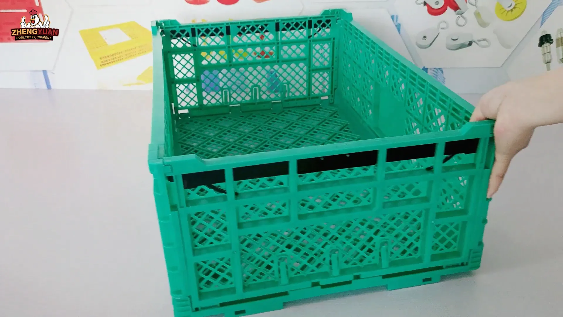 High Quality Foldable Plastic Chicken Transport Cage Coop For Chicks ...