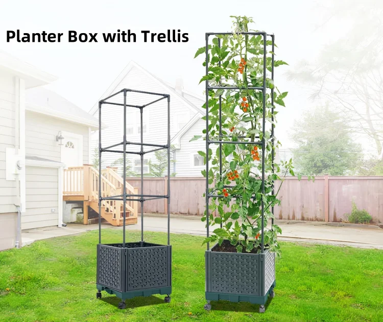 Hot Sell Square Iron Wire Plant Growth Frame - Tomato Cage