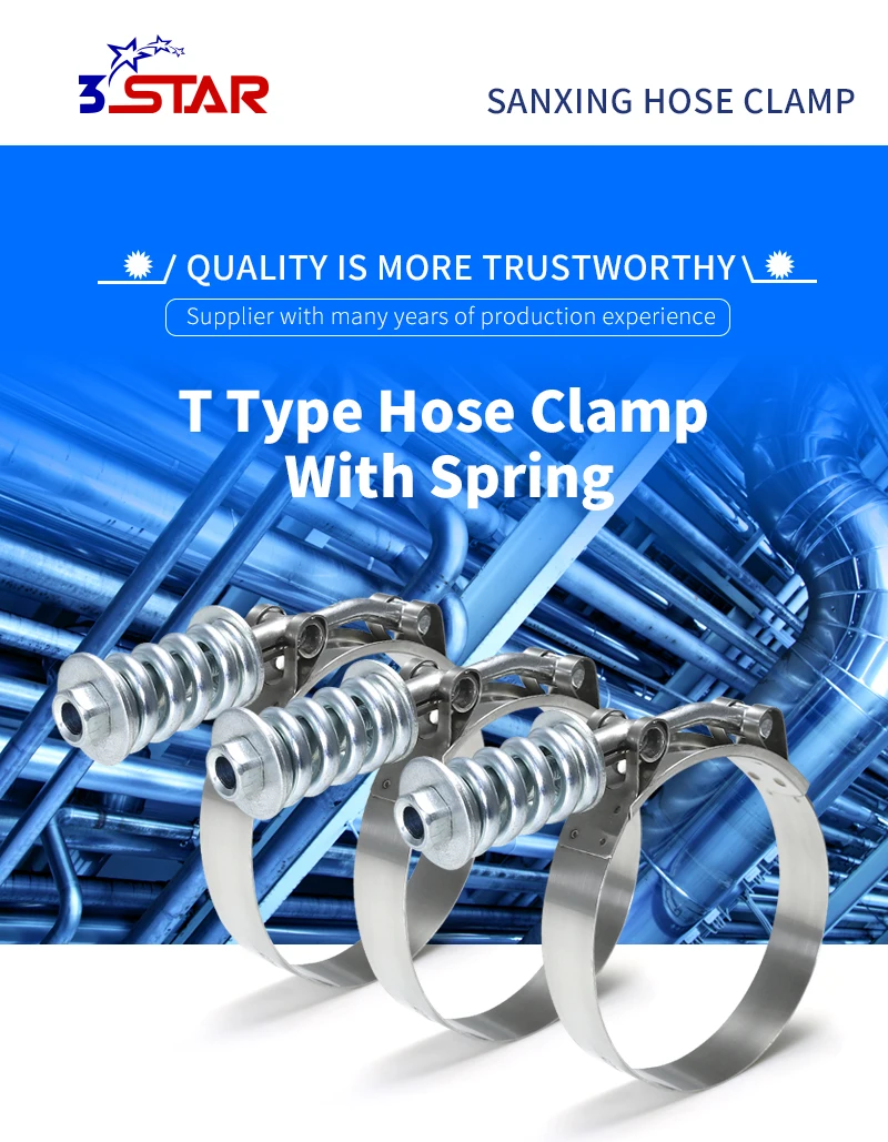 Constant Tension Spring Loaded T Bolt Automotive Stainless Steel Hose ...