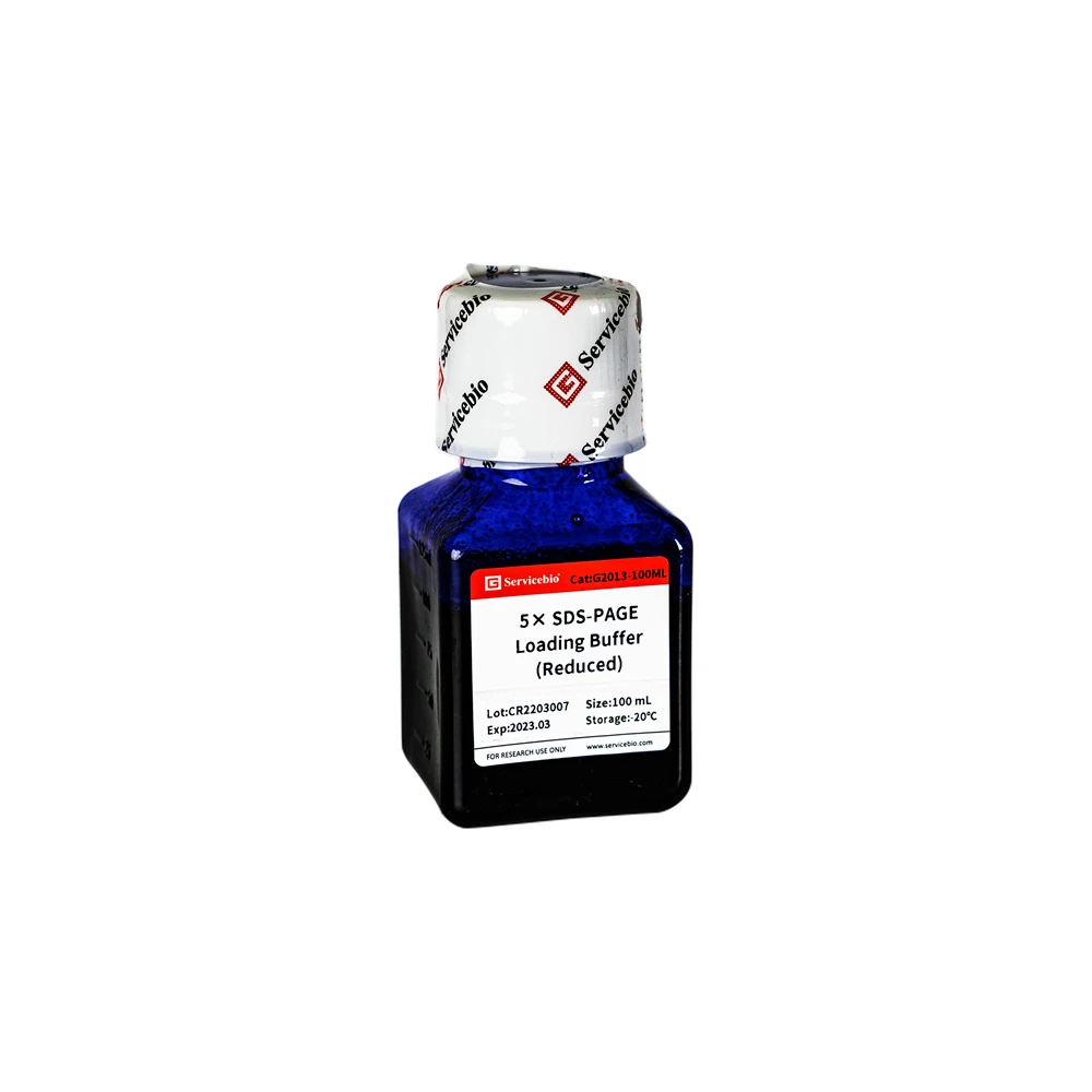 Lab Chemicals Biological Reagents Reduced 5x Sds-page Loading Buffer ...