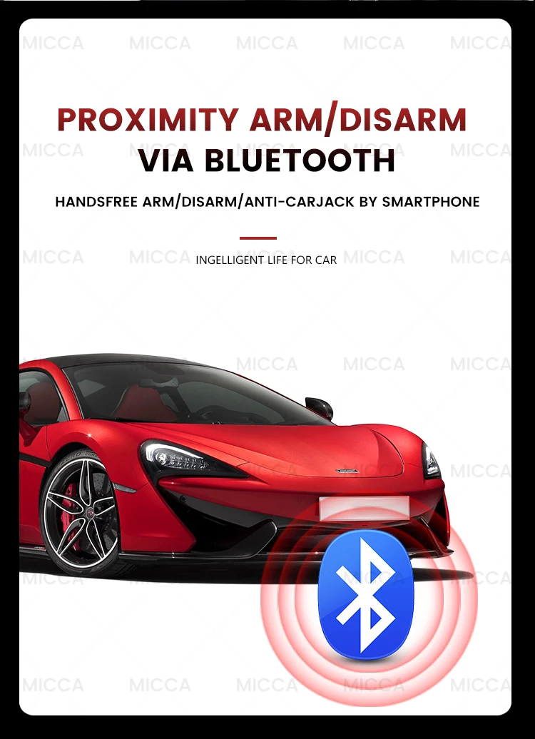 Car Immobilizer System Bypass Vibration - Secure Your Auto