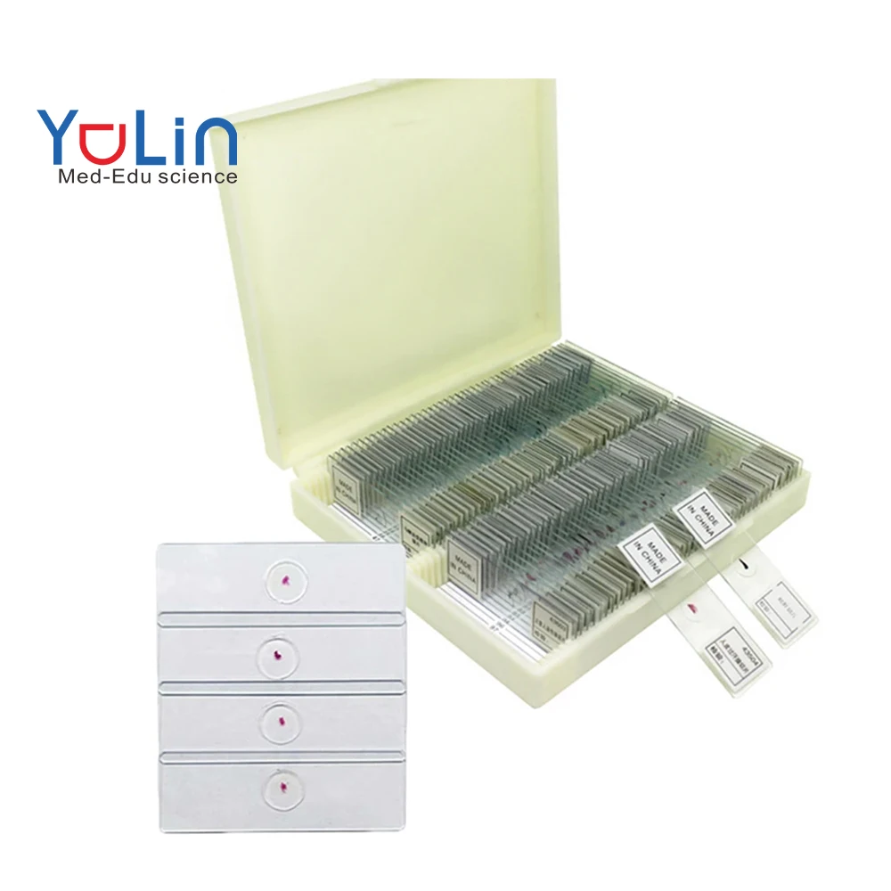 All Types Of Microscope Slides Biology Prepared Slides Set Glass ...