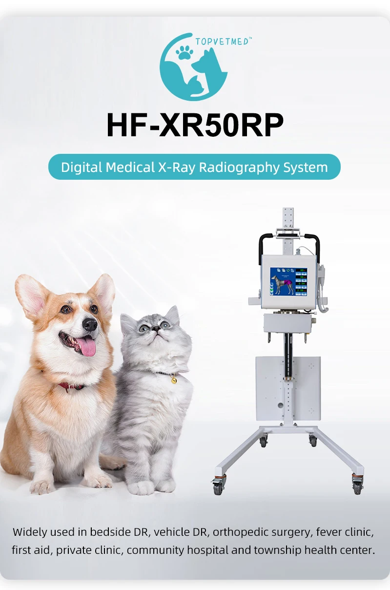 Veterinary Medical Digital X-Ray Imaging System for Pet & Vet Clinics